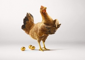 Animals – Carioca Studio